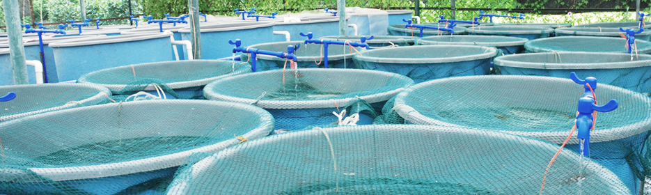 Aquaculture water quality monitoring, control and sampling systems | YSI