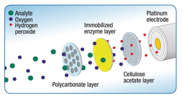 Blood Glucose Analysis Biochemistry Analyzer | ysi.com