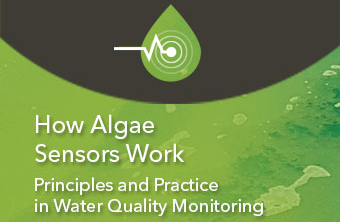 Total Algae Sensor Phycocyanin | ysi.com