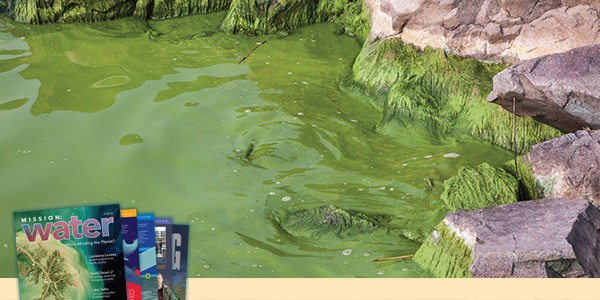 Harmful Algal Blooms | HABs