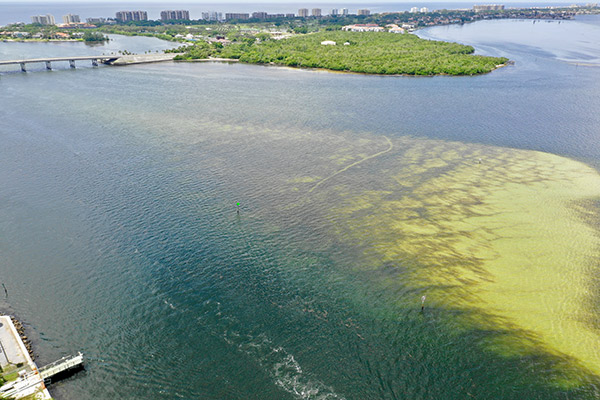 Harmful Algal Blooms | HABs