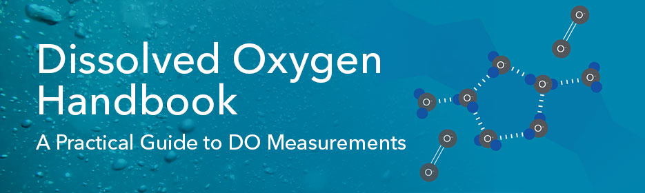 Guide to Dissolved Oxygen Measurements
